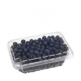BLUEBERRIES 18oz